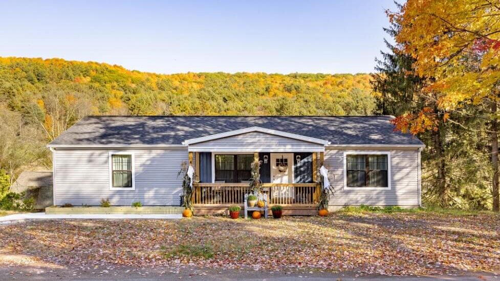 Clayton Homes | Lizzie – PLACE